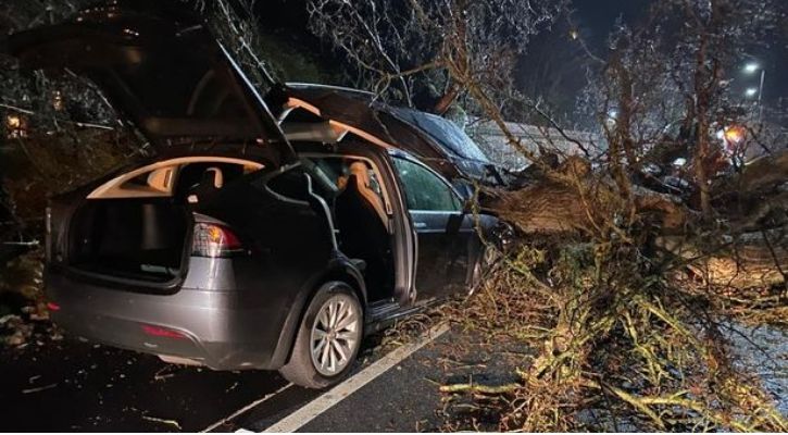 tesla-amazingly-saves-family-from-getting-crushed-under-a-400-year-old