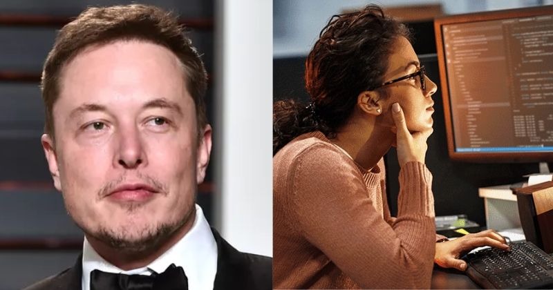 Elon Musk Wants To Hire Programmers For AI, No Degree Needed: Here's ...