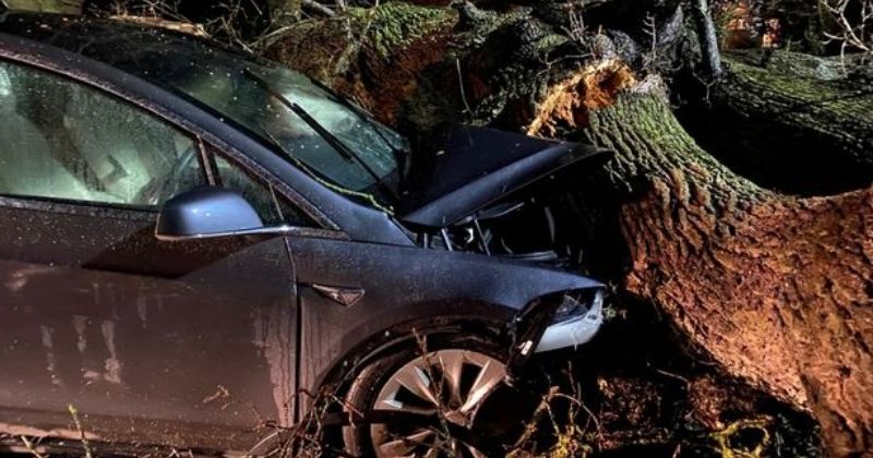 Tesla Amazingly Saves Family From Getting Crushed Under A 400-Year-Old ...