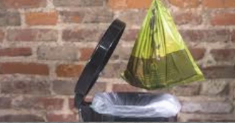 Indonesian High School Students Force Juniors To Eat Human Faeces