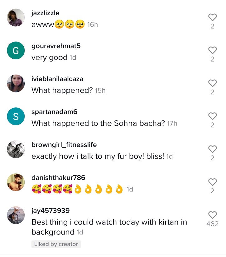 Punjabi Mother Says 'Good Boy Mera' To Injured Doggog & Bandages His Paw