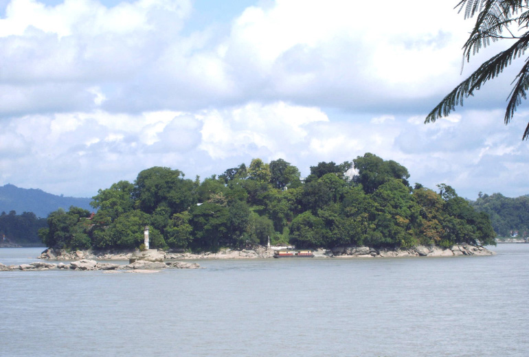 Golden Langur Becomes Extinct In Guwahati’s Umananda As The Last One Dies