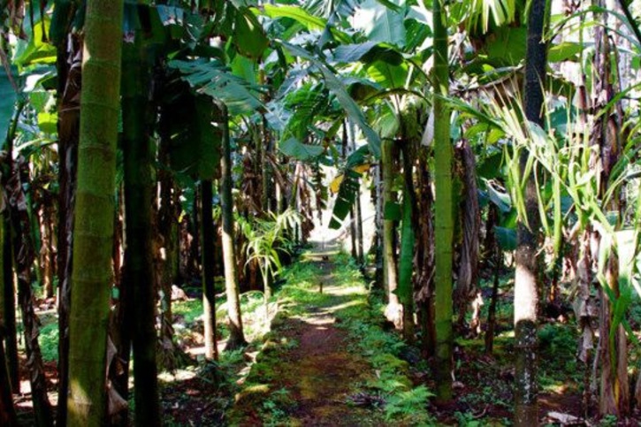 Forget Baga & Anjuna. Here Are 17 Places You Must Visit In Goa