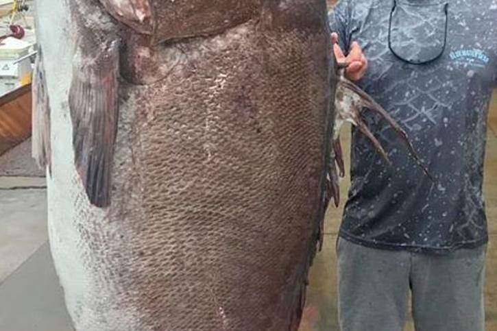 Man Caught 50-Year-Old Fish Weighing 160 Kgs, Oldest Till Date, Older ...