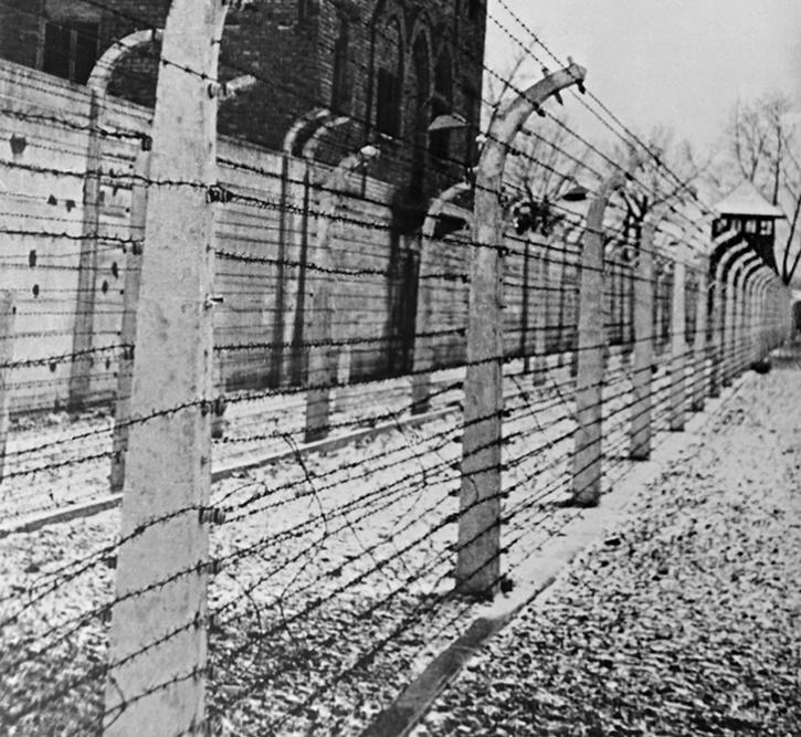 Holocaust Memorial Day: These Haunting Images Tell The Story Of ...