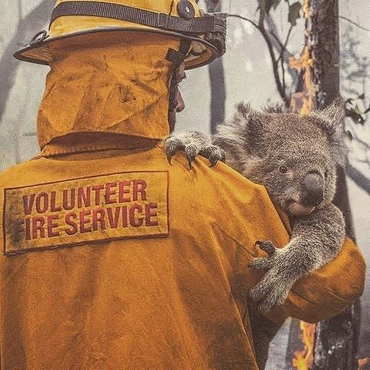 Australia Bushfires: Images Emerging From Australia Are Heartbreaking