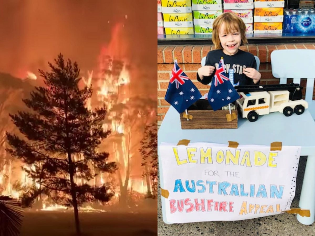 This 5-Year-Old Sold Lemonade To Donate Rs 18,500 For Saving Australia ...