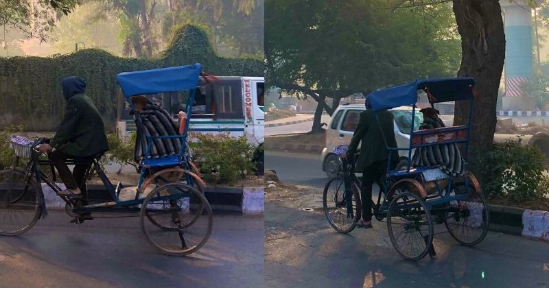 Heartwarming Picture Of Dog Wrapped In Blanket & Taking A Rickshaw Ride ...