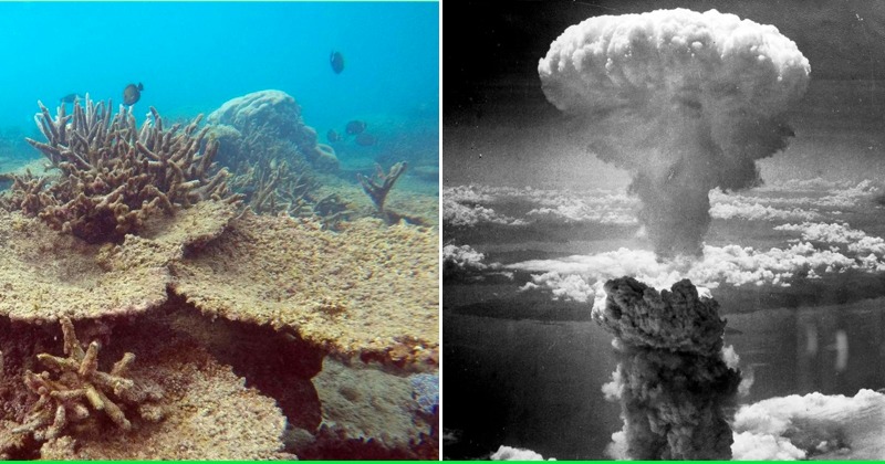 Heat Absorbed By Oceans In Past 25 Years Was More Than 3.6 Bn Atom ...