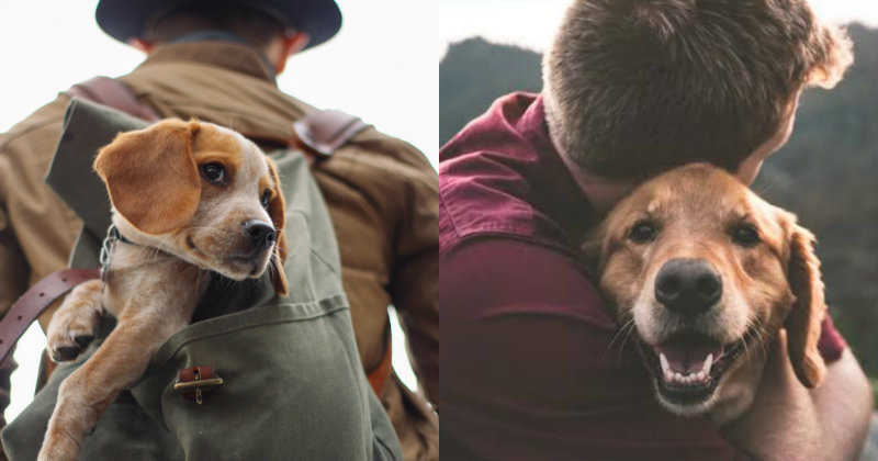 Dogs Truly Are Our Best Friends, As They Understand Human Gestures By ...