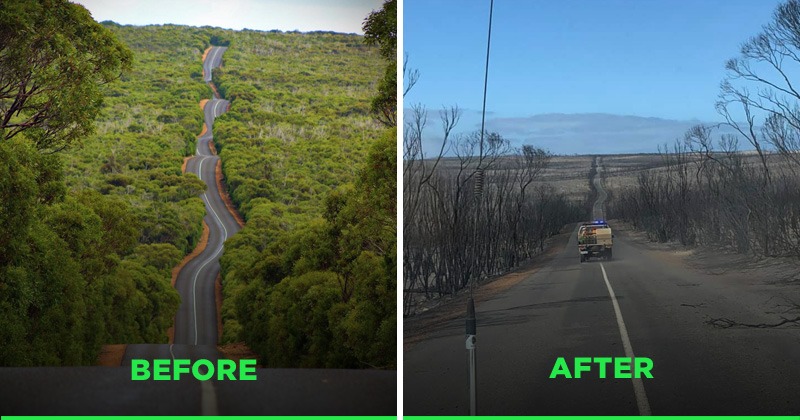 Australia Bushfire: Before And After Images Of The Disaster