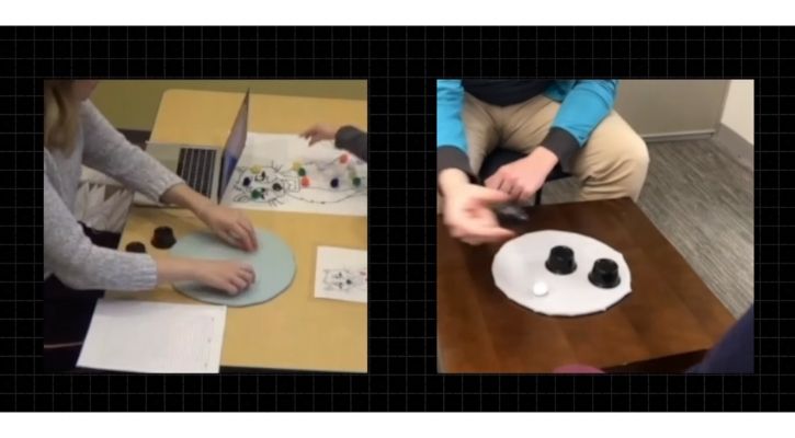 Smartest Parrot In The World Defeats Harvard Students In Memory Test ...