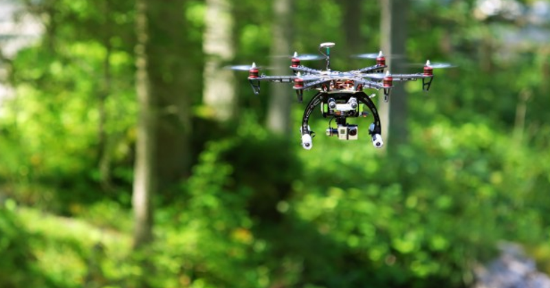 Haryana Forest Dept Uses Drone To Plant Seeds In Aravallis