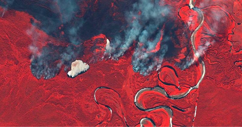 Arctic Fires In 2020: Deadly Arctic Wildfires Are Causing Record ...