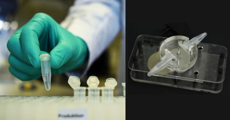 Stanford & Harvard Scientists Build Quick & Accurate COVID-19 Tests ...