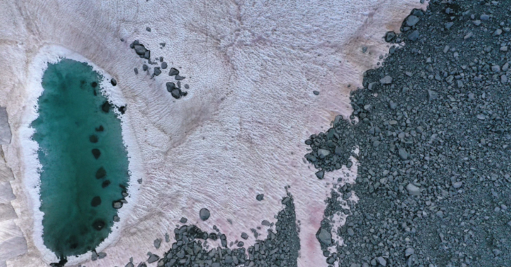 Pink Snow In Europe: Why 'Watermelon Snow' Could Be Accelerating ...