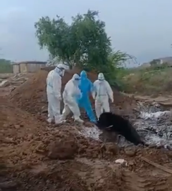 Video: Bodies Of Coronavirus Victims Dumped In Pit In Karnataka