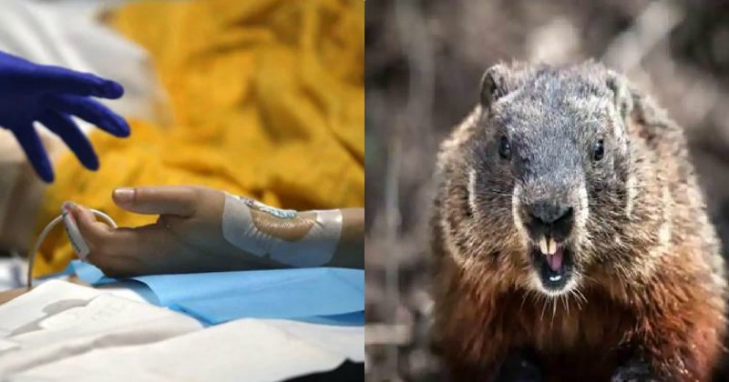 106-Year-Old Beats COVID-19, Bubonic Plague Alert In China And Other ...