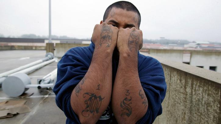 US Brings Terror Charges On MS-13 Leader Armando Eliu Melgar Diaz. Here ...