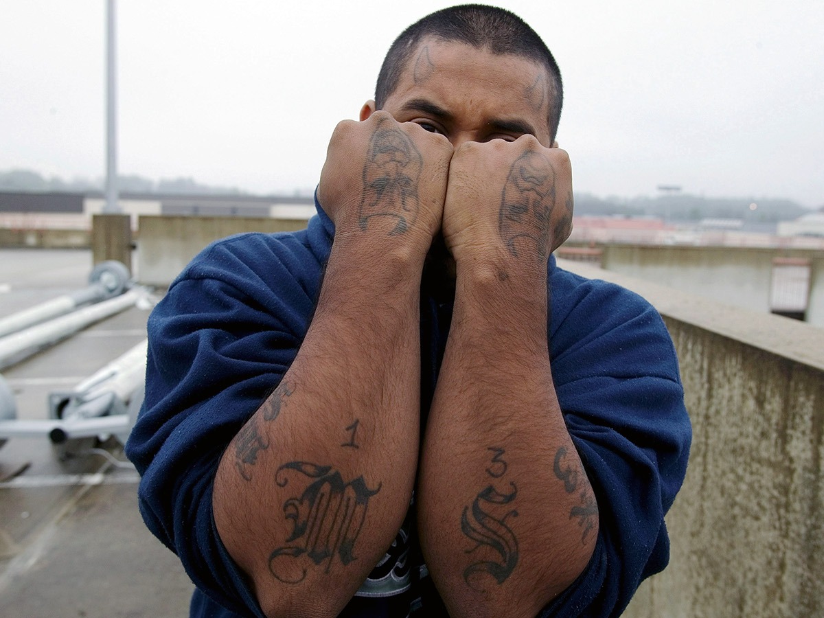US Brings Terror Charges On MS-13 Leader Armando Eliu Melgar Diaz. Here ...
