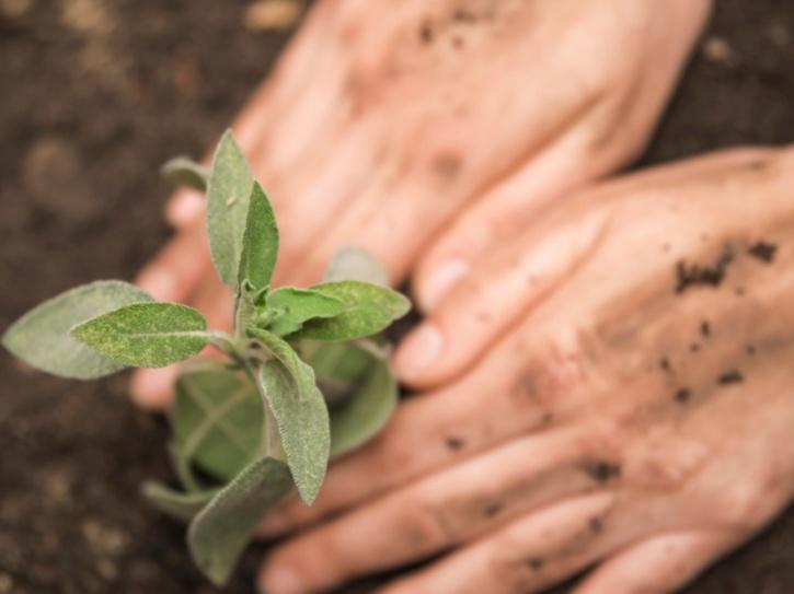 Plantation Drive By UP Earns The State A Place In The Guinness World Record