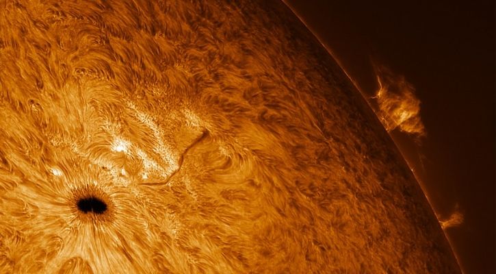 This Majestic Sun Pic Clicked By A Retired Professor From His Garden Is ...