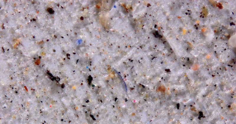 'Plastic Rain' Shows Shocking Amount Of Tiny Plastic Pieces, Less Than ...