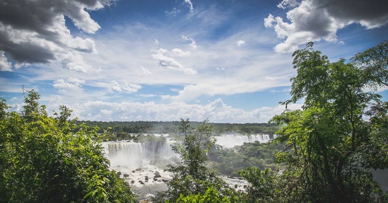 World Environment Day 2020 - Positive Impact Of Coronavirus On The ...