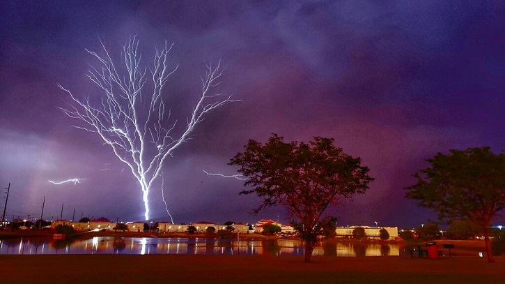 Lightning Looks Like A Tree