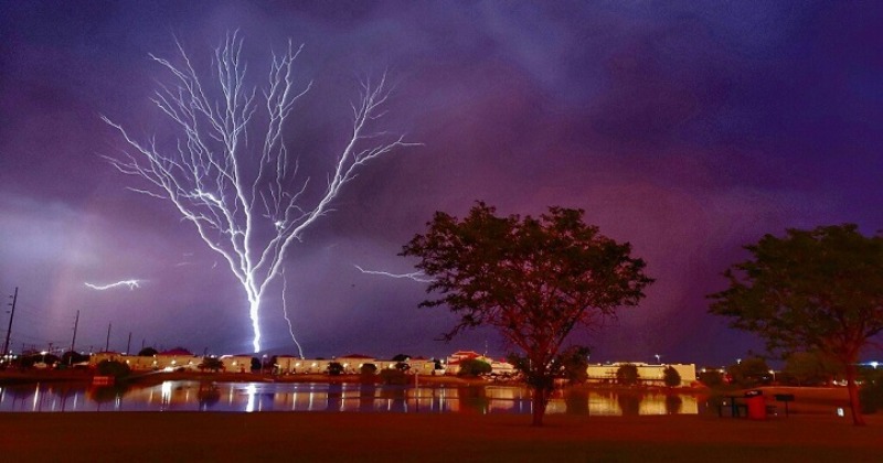 Lightning Looks Like A Tree