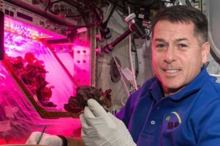 Astronauts Grow World's Most Tasteless Vegetable In Space, Proving ...