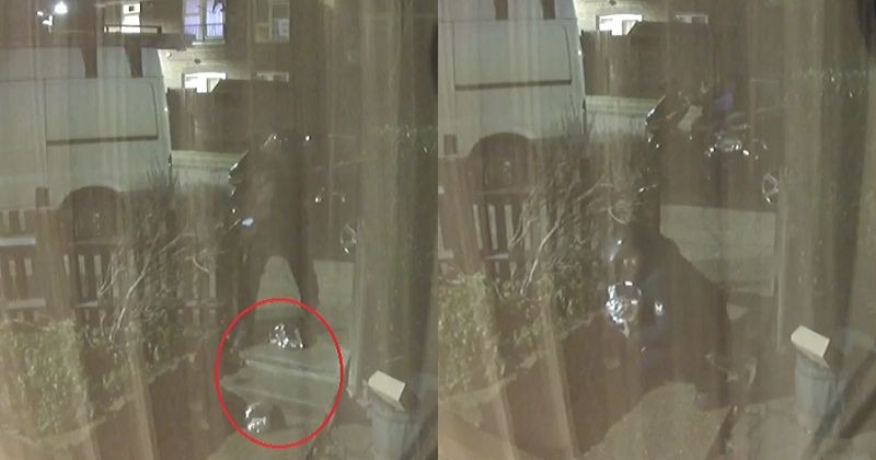 Delivery Man Drops Food On Man's Porch, Scoop It Up And Then Deliver It