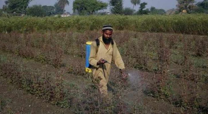 Controlling Locust Swarms: How Nations Around The World Fight Locust ...