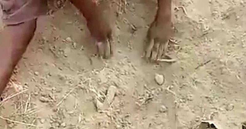 Shocking: Muffled Cries Lead To Discovery Of Newborn Allegedly Buried Alive In UP