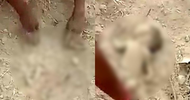 Shocking: Muffled Cries Lead To Discovery Of Newborn Allegedly Buried Alive In UP