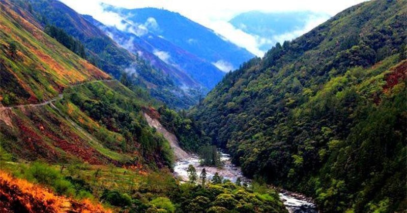 2.7 Lakh Trees To Be Cut In One Of Richest Himalayan Biodiversity Areas ...