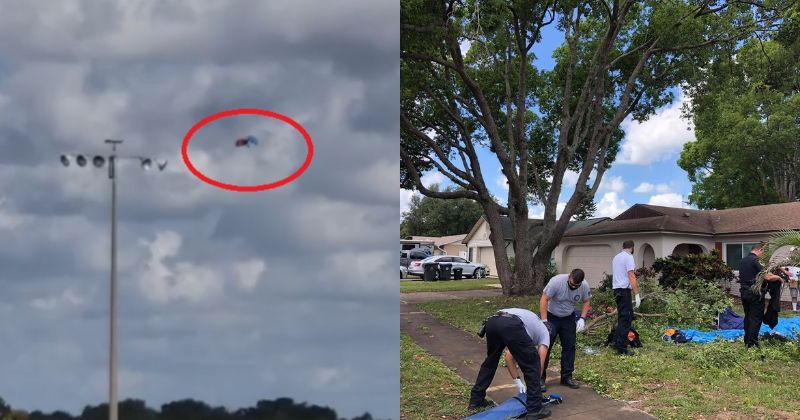 After Their Parachute Malfunctions, Tandem Skydivers Crash Into Tree ...
