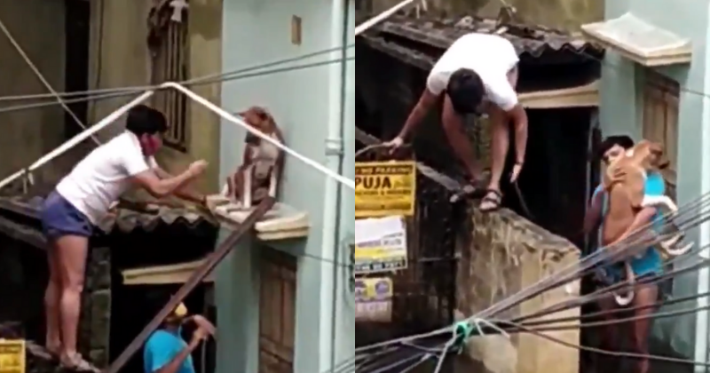Compassion At Its Best: 2 Men Rescue Frightened Dog That Got Stuck ...