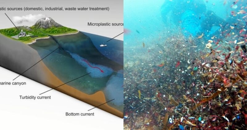 In Highest Level Ever Recorded, 1.9 Million Pieces Of Microplastic ...