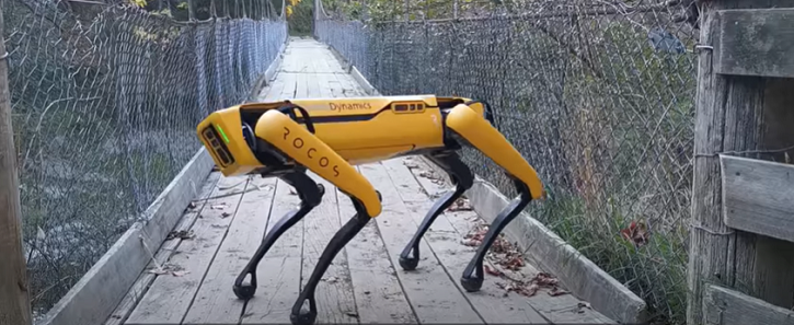 Video: Robot Dog Manages Flock Of Sheep & People Are Worried That AI ...