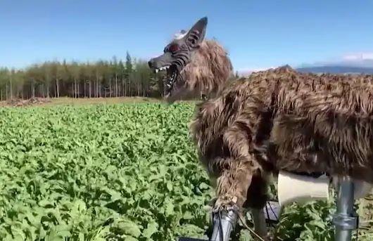 Monster Wolf Robot Installed In Japanese Town To Scare Off Bears, Deer ...