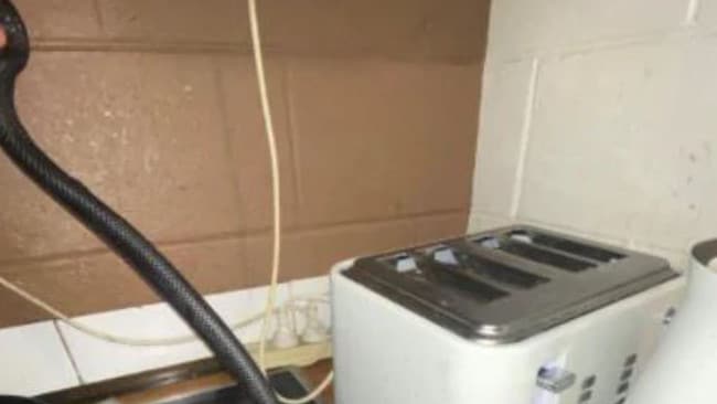 Woman Finds Snake In Kitchen While Making Breakfast