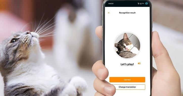 MeowTalk App Claims To Translate Your Cat's Meows And Purrs Into English