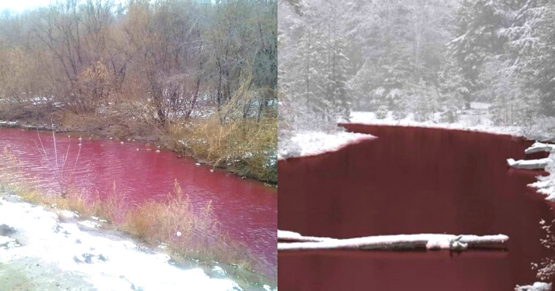 River In Russia Turns Beetroot Red