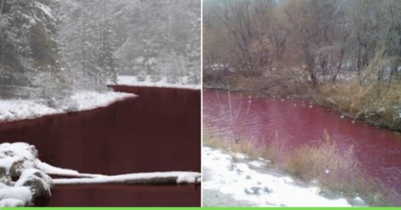 अचानक से लाल हुआ रूस की इस्किटिमका नदी का पानी, कारण किसी को नहीं पता ...