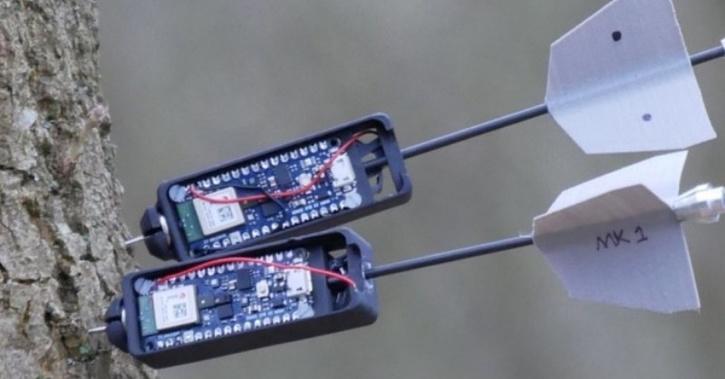 Drones That Shoot Sensor Darts In Tall Trees Will Give Forest Health Data