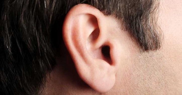 Scientists Find Cure For 'Ringing Ears' Suffered By Millions, With Tiny ...