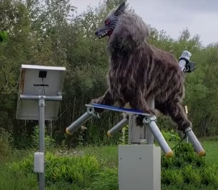Japanese Town Plants 'Monster Wolf' Robots