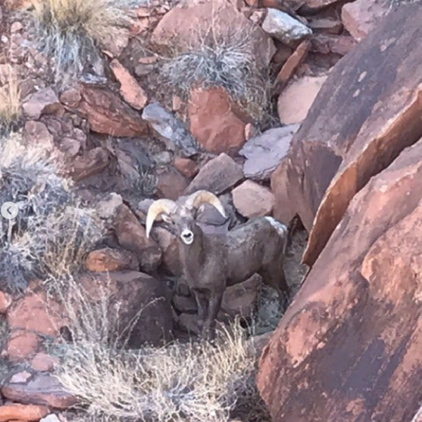 Mysterious Metal Monolith Discovered In Utah