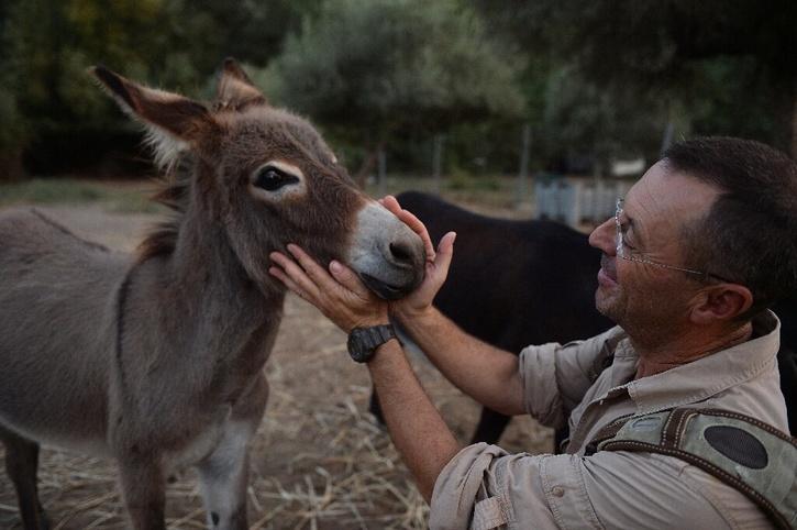 Donkeys Are Helping Spanish COVID-19 Frontline Workers